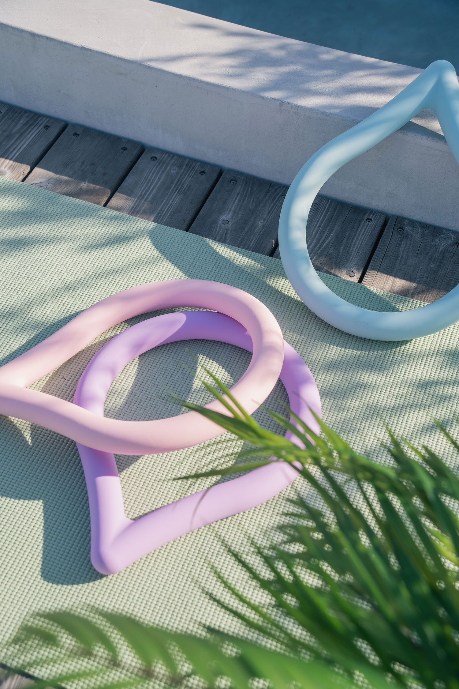 GYM GOODS – Schellin Fit